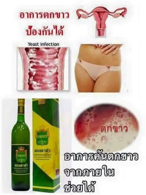 👉hiv มะเร็ง เบาหวาน ผิวหนังฯ คอลดาต้าสมุนไพรเพื่อสุขภาพ
