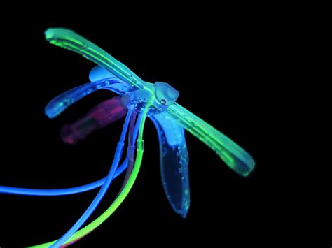 Soft Robotics Examples Research And Applications Robotics24 Blog