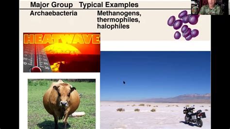 Archaebacteria Lecture Video Youtube