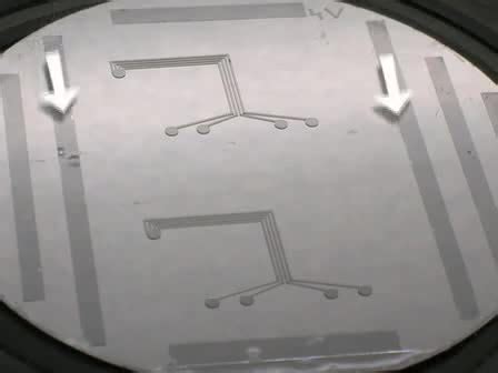Video Applying Microfluidics To Electrophysiology