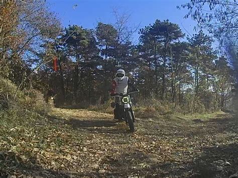 Oracle Materialized View 이서진화가 일상 블로그