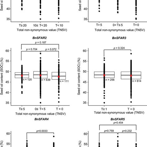 The Effect Of Non‐synonymous Single Nucleotide Polymorphisms Snp