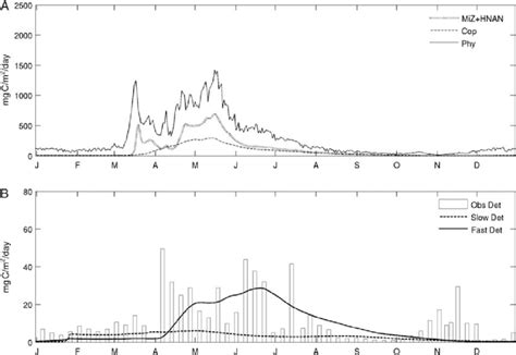 Annual Time Course Of Net Primary And Secondary Production A And Download Scientific Diagram