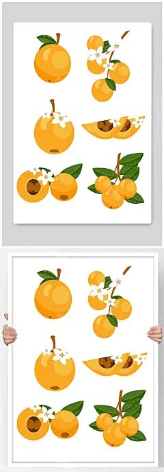 水果图片大全 水果高清好看的图片 花瓣nihao888的画板