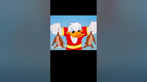 একটি হাঁস ও দুটো কাঠবিড়ালির বাংলা কার্টুন Cartoon 3danimation Youtube