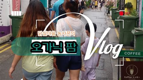 닭실마을 농사꾼 브이로그 유기농으로 재배하는 감자심기 과정입니다 Youtube