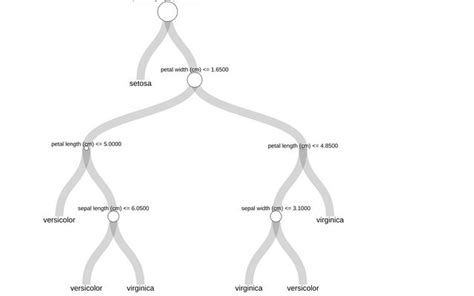 Visualize Decision Trees From Sklearn Jared Wilber Observable