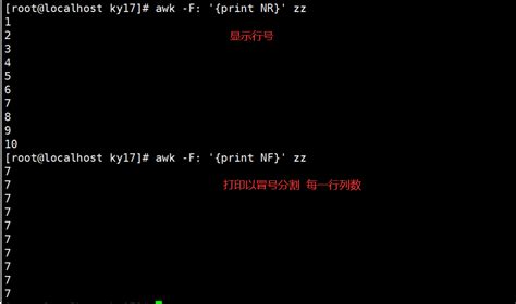 awk工具详解 请叫喵总 博客园
