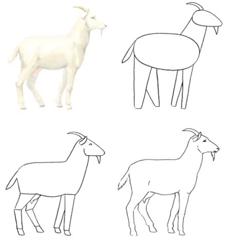 Как Нарисовать Козу 51 Фото