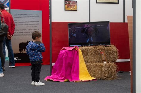 Lino Pires As Sanjoaninas São Sem Dúvida Uma Das Mais Importantes Feiras Do Panorama Taurino