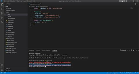 Typescript Angular 14 Error A Collection And Schematic Is Required During Execution Stack