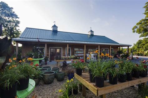 Wholetrees Structures Shade Trees Nursery