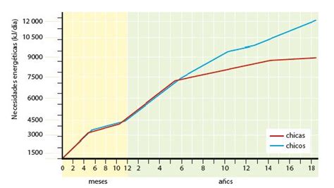 Types Of Graphs Line Chart Vs Bar Chart
