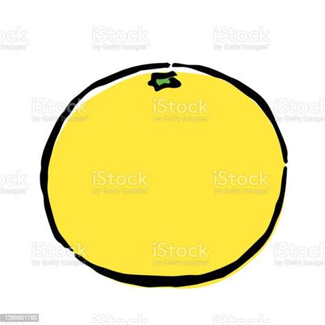 자몽의 삽화 잉크와 브러시로 손으로 그린 일러스트레이션과 같은 그림 건강한 식생활에 대한 스톡 벡터 아트 및 기타 이미지