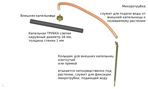 Автополив в теплице - способы обустройства, пошаговые инструкции