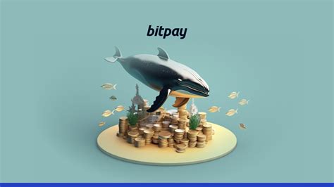 how to create a multi chain wallet with bitpay bitpay