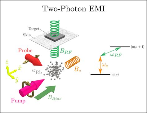 Illustration Depicting The Two Photon Electromagnetic Induction Imaging Download Scientific