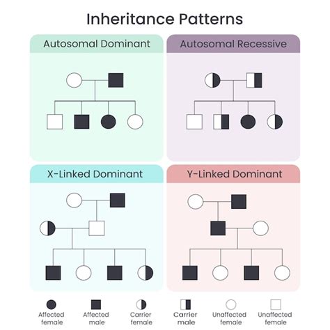 Premium Vector Genetic Inheritance Patterns Scientific Vector