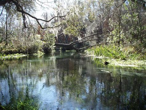 Elevation Of Fl Obrien Fl Usa Topographic Map Altitude Map