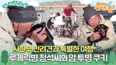 [ 습속친구들] 🐶시한부 반려견과 자전거 전국 일주 중🚲 ‘루게릭병 정석씨와 암 투병 쿠키의 특별한 여행 순간포착세상에이런