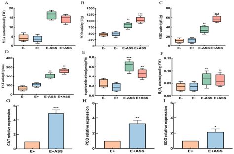 Maize Endophytic Plant Growth Promoting Bacteria Peribacillus Simplex