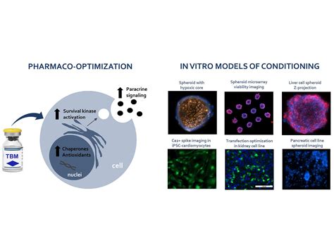 Targa Biomedical Pipeline