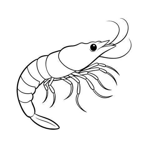 Ilustración De Camarón Para Colorear Para Niños Vector Premium