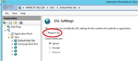 Networking Mininet With ONOS ARP Works Fine Ping Wont Start Stack