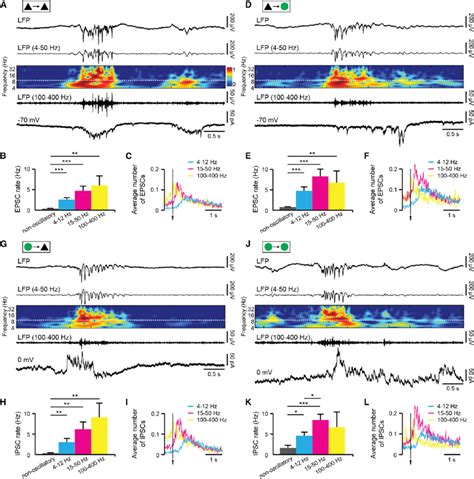Temporal Relationships Between Network Oscillations And Synaptic