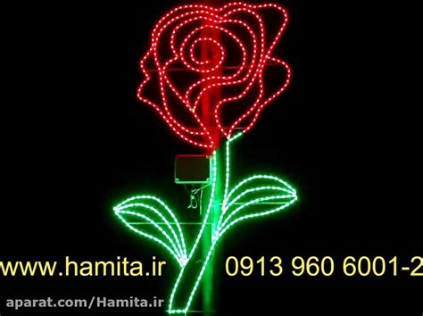 المان نوری رز فول کالر محصول شرکت حامیتا