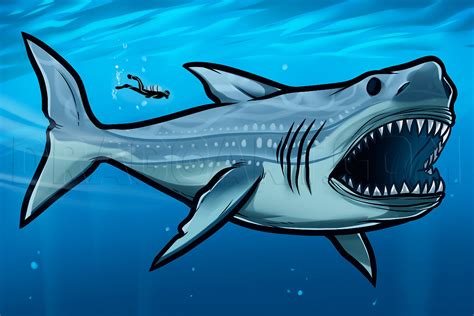 How To Draw A Megalodon Shark Step By Step