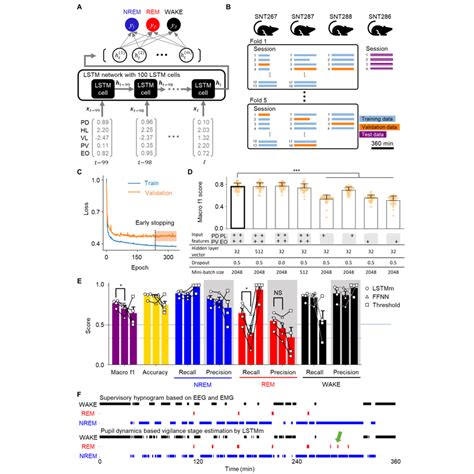 Pupil Dynamics Based Sleep Stage Labeling Using A Deep Neural Network Download Scientific