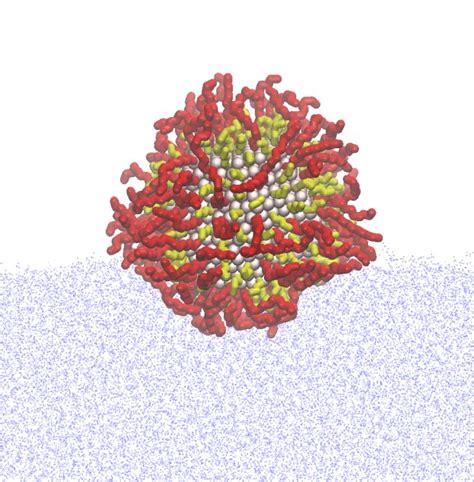 Nanoparticle Functionalization And Assembly And Nano Particle Interface Interactions Itn Snal