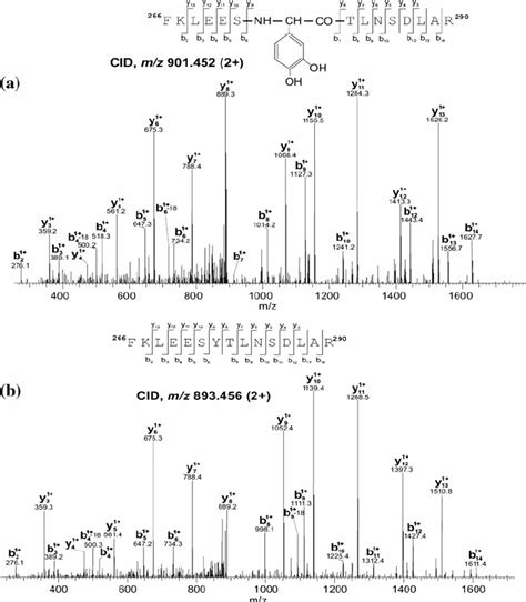 Nano Hplc Tandem Ms Analysis Of Leukocyte Elastase Inhibitor Revealed Download Scientific