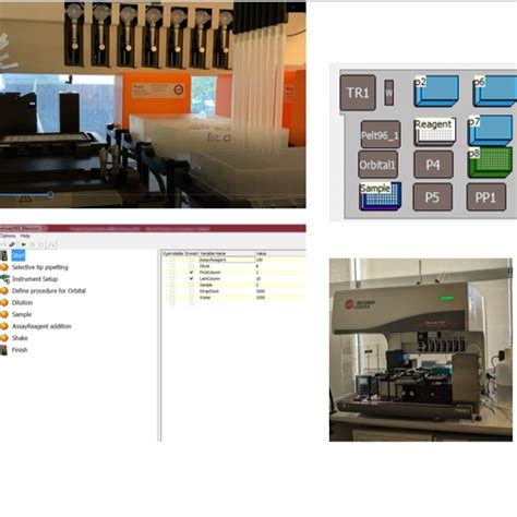 Modular Automated Sample Processing Of Biological Samples Using
