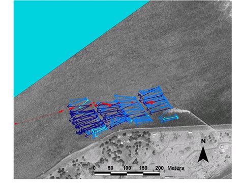 Surface Velocity Vectors At The Juvenile Bypass System Outfall During