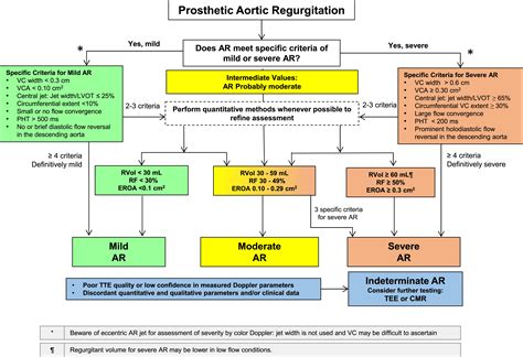 Guidelines For The Evaluation Of Prosthetic Valve Function With Cardiovascular Imaging A Report