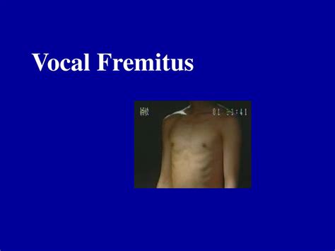 Vocal Fremitus