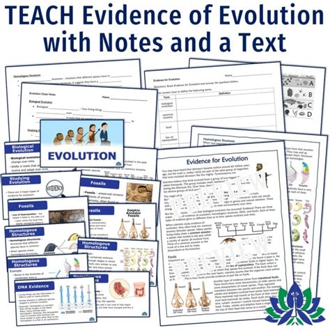 Evidence Of Evolution Activity Worksheet Cer Quiz Bundle Tpt