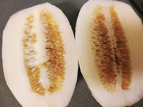 참외장아찌만큼 맛있는 간단한 참외요리