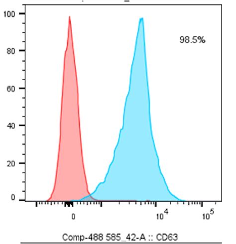 Labcompare Product Review Cd63 Antibody For Characterization Of Extracellular Vesicle Marker