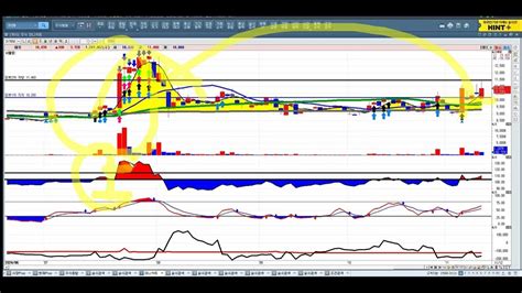 주식세력매집봉 11월12일 세력매집 첫봉들 이화공영특수건설우원개발ㅏ남화토건삼성출판사대동기어진흥기업엠에스씨서희건설자연과환경 Youtube