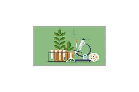 جزوه کامل ایمنی زیستی کتابخانه مجازی واتیکان