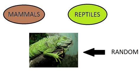 Group Of Objects In Different Order How Do I GDevelop Forum