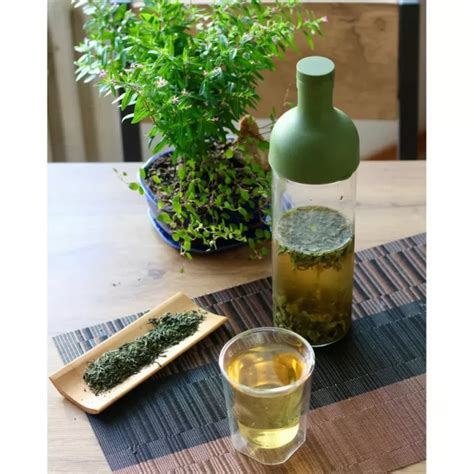 Hario Flasche Grüner Eistee 750 Ml