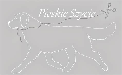Pieskie Szycie: Kombinezon ...