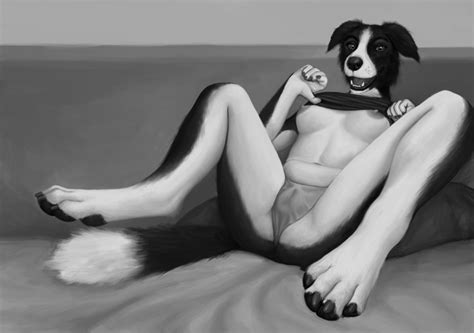 Rule 34 Anthro Black And White Border Collie Breasts Canine Canine