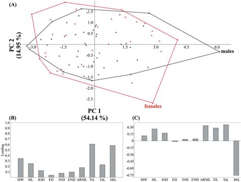 A Scatter Plot For The First Two Principal Components Obtained From A