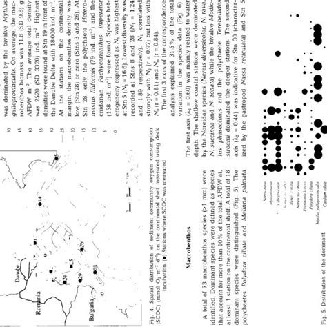 Spatial Distribution Of Sediment Community Oxygen Consumption Download Scientific Diagram