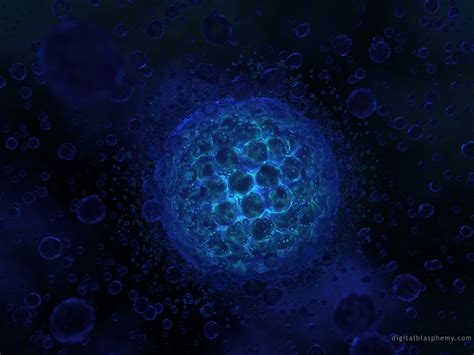 🔥 20 Protist Wallpapers Wallpapersafari